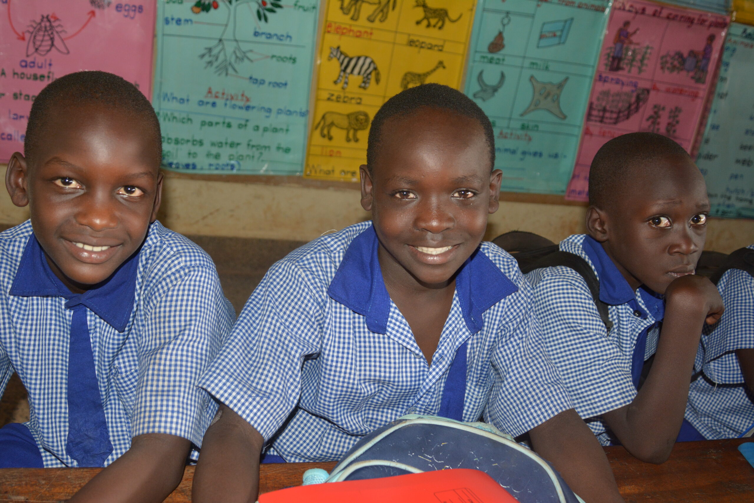 Julius Peter's Story - PATH